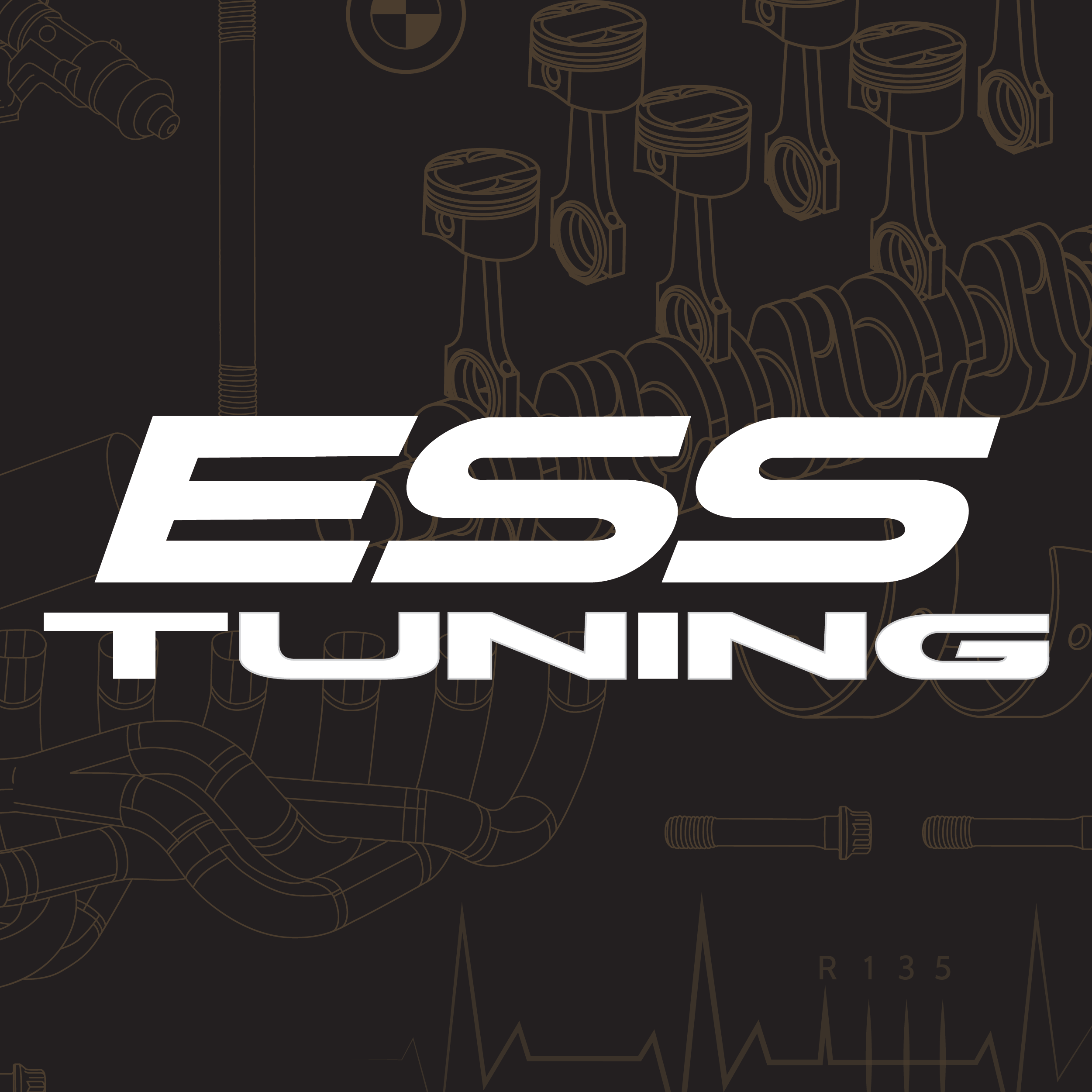ESS Tuning – 5150 AutoSport South Africa
